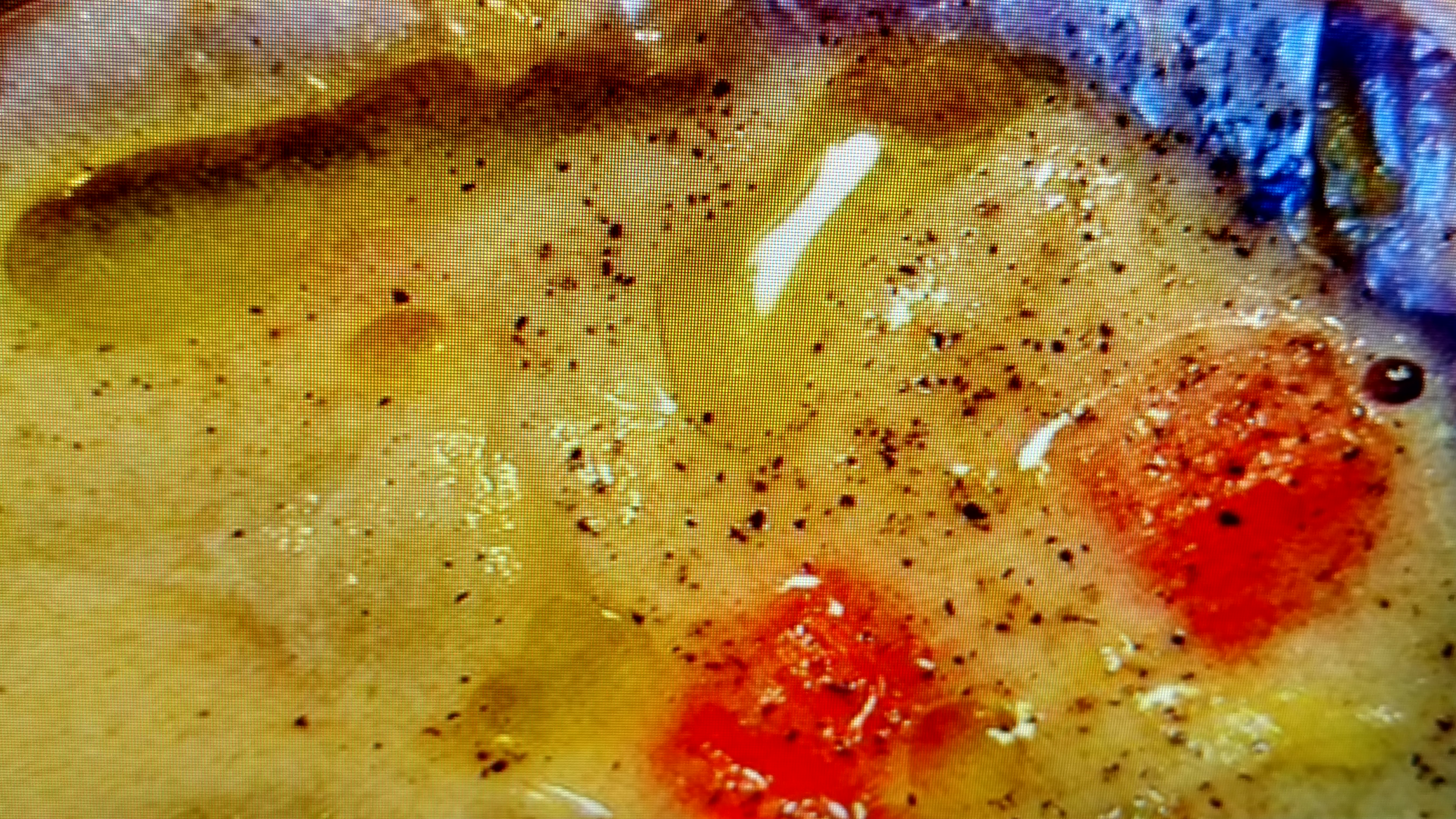 Greek Fish Soup