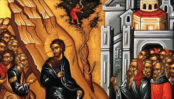 Dormition of the Virgin Mary - Palm Sunday Divine Liturgy and Annual ...