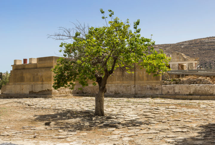 Visit the Minoan Palaces on Crete