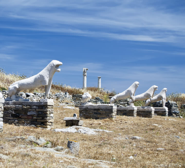 Visit the Archeological Site of Delos