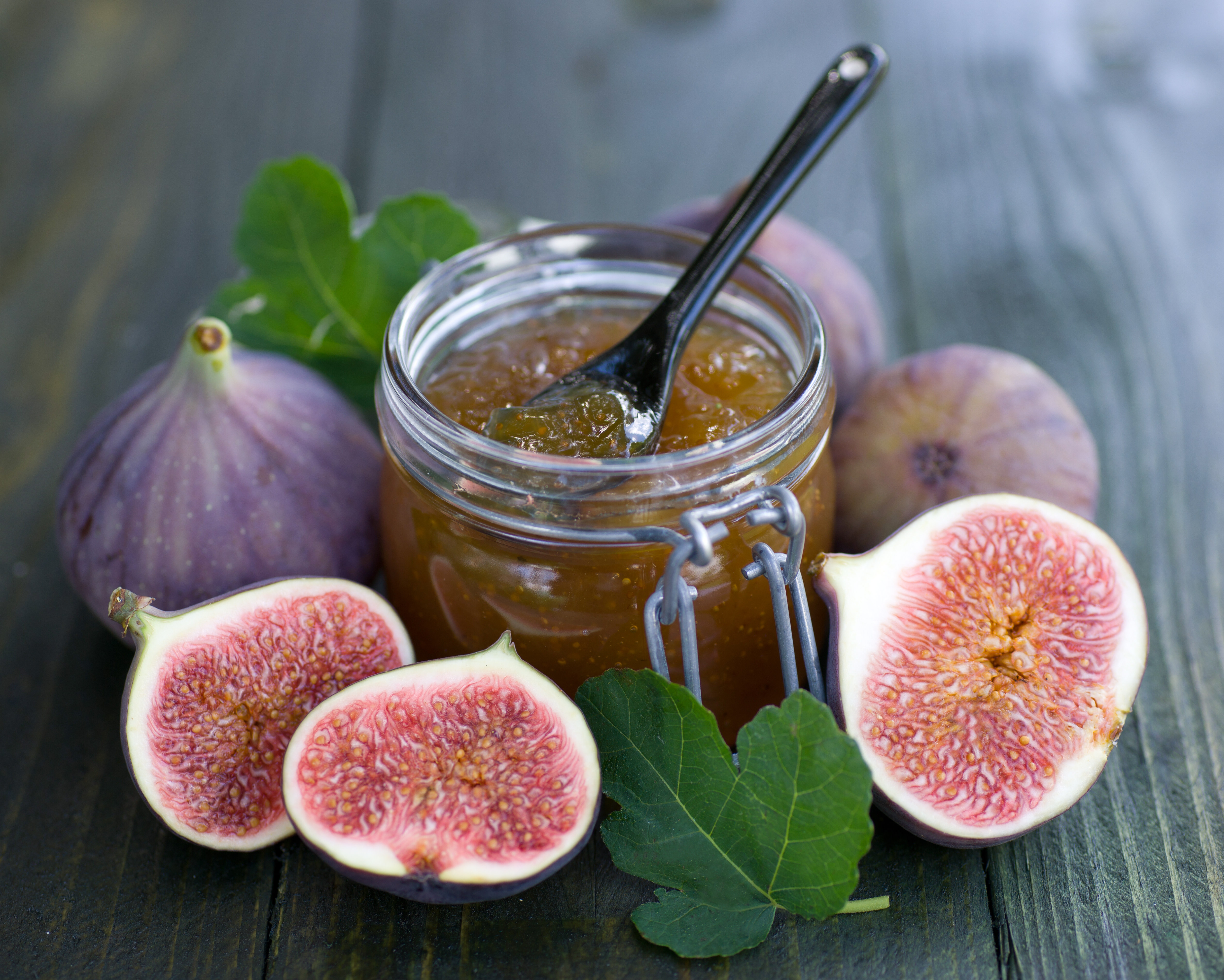 Ancient Greek Figs