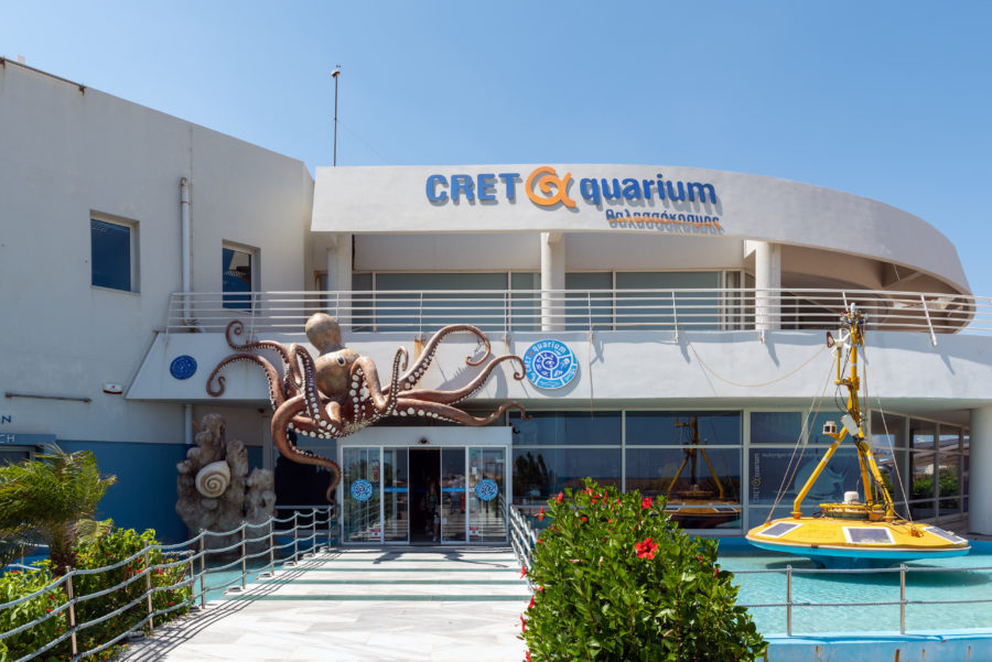 Learn About Marine Life at the Cretaquarium