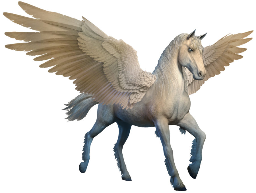 Pegasus And Bellerophon Greek Mythology