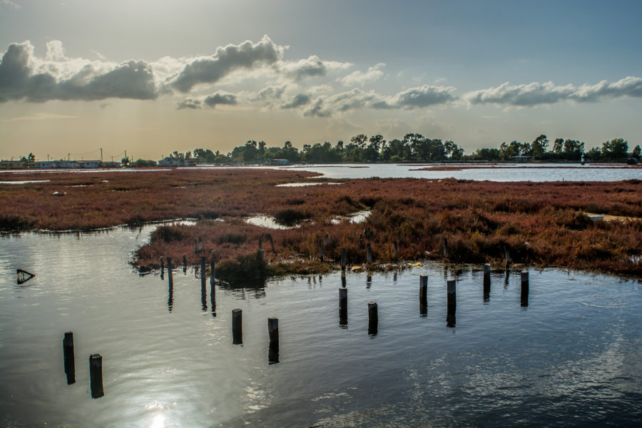Soak Up the Sun at Tourlida Beach in Mesolongi, Greece