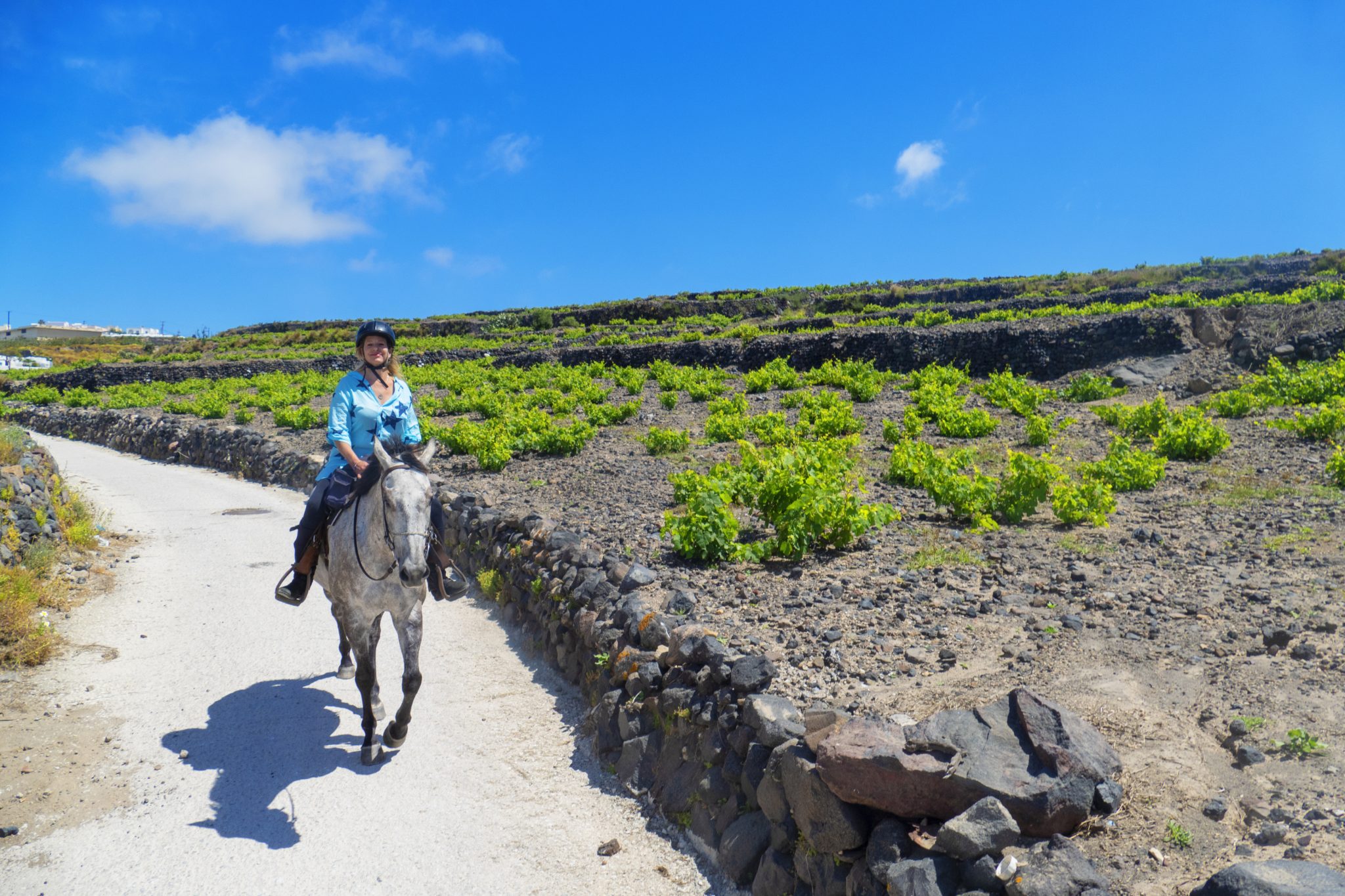 Go Horseback Riding in Mykonos, Greece