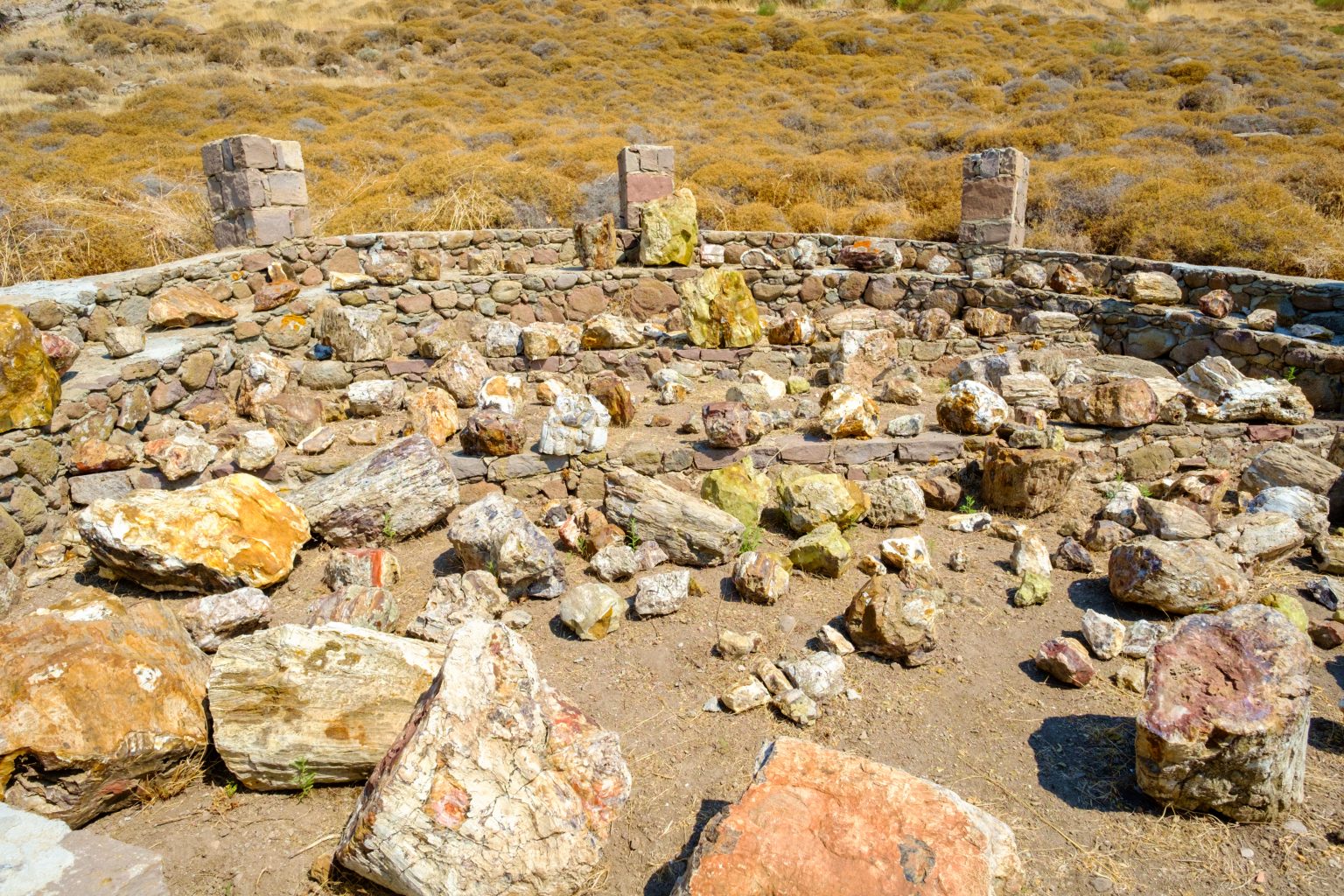Visit the Petrified Forest of Lesvos